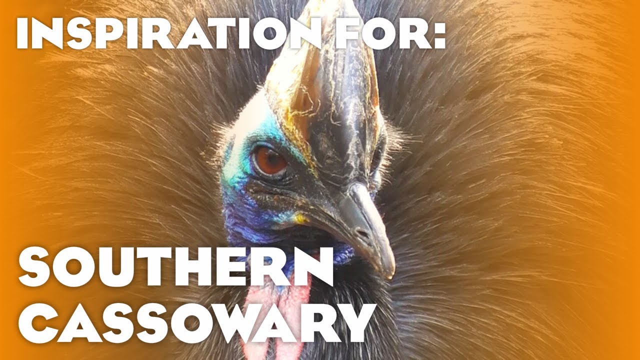 6 Real Southern Cassowary Habitats! (Planet Zoo Inspiration) - YouTube