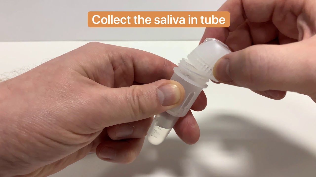 DOA Multi Drug Saliva Tests - YouTube