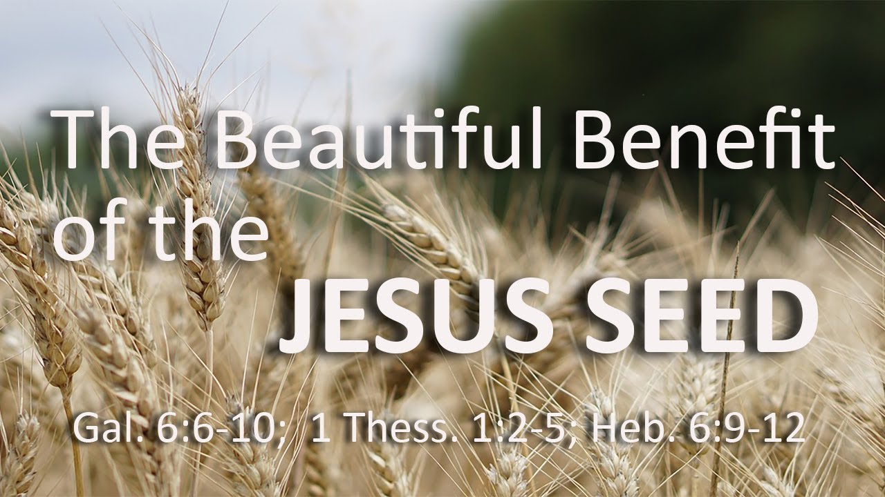 The Beautiful Benefit of the JESUS SEED - YouTube