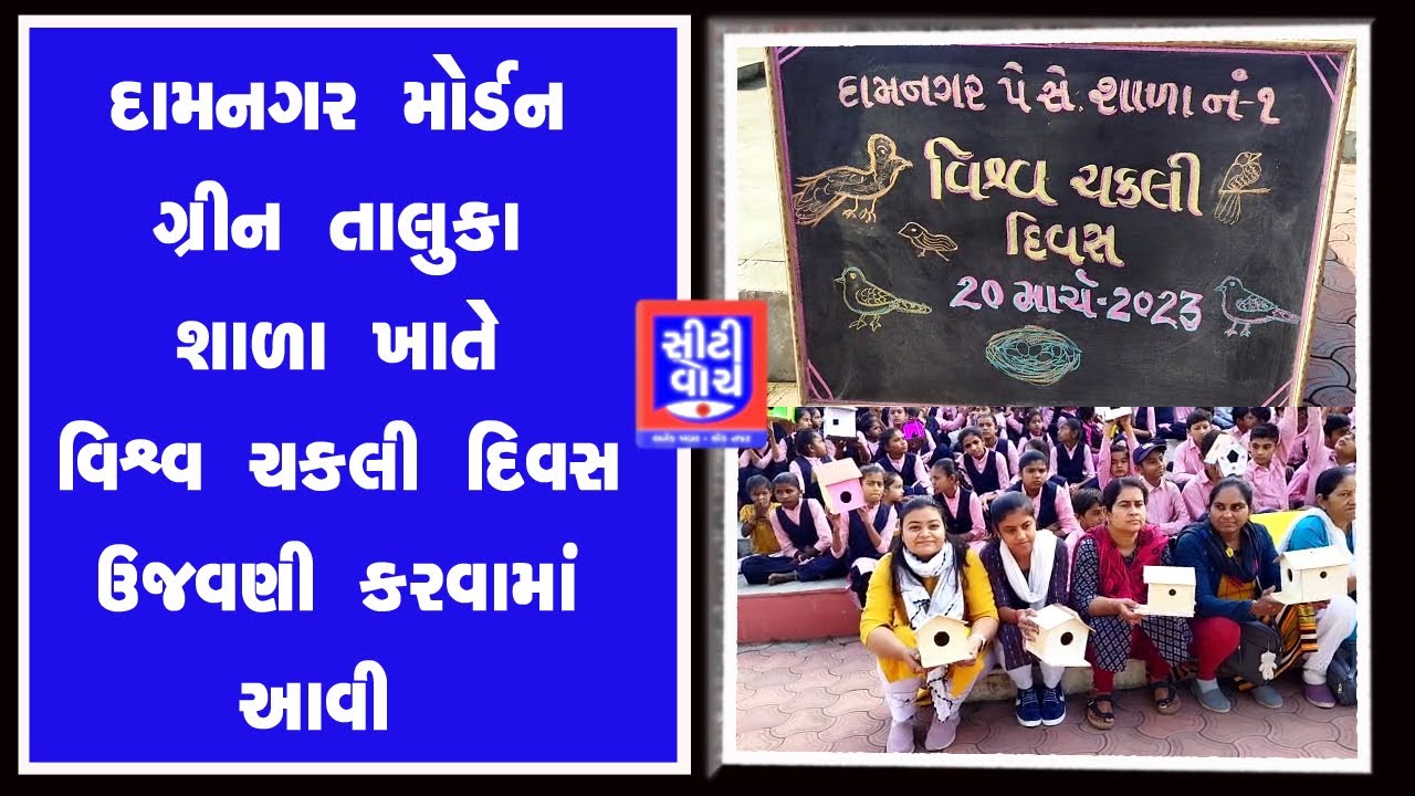 Damnagar મોર્ડન ગ્રીન તાલુકા શાળા ખાતે વિશ્વ ચકલી દિવસ ઉજવણી કરવામાં ...