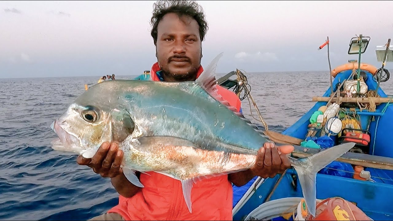 Catching King Fish, Diamond Trevally & Grouper Fish in Sea - YouTube