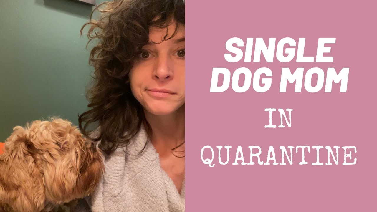 Single Dog Mom in Quarantine - YouTube
