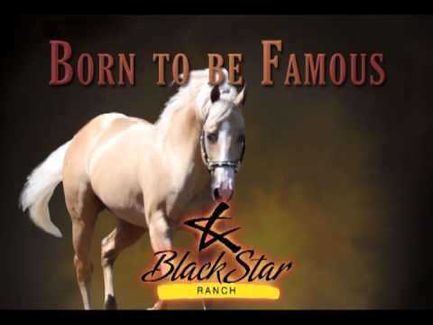 Black Star Ranch - YouTube