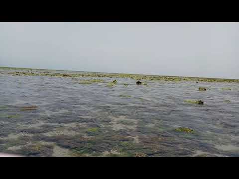 narara marine national park jamnagar - YouTube