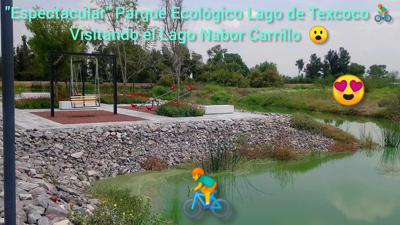 "ESPECTACULAR" 😍 PARQUE ECOLÓGICO LAGO DE TEXCOCO (Lago Nabor Carrillo ...