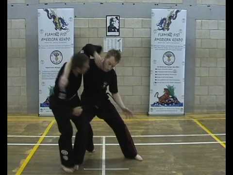 Flaming Fist Kenpo - Orange Belt Techniques - YouTube