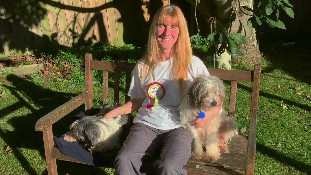 Dr Cathy Casey for Albert-Eden-Roskill Ward - YouTube