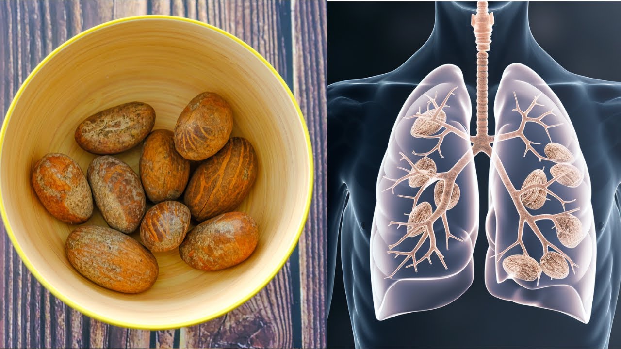 10 Benefits of Bitter Kola You Need to Know for Better Health - YouTube