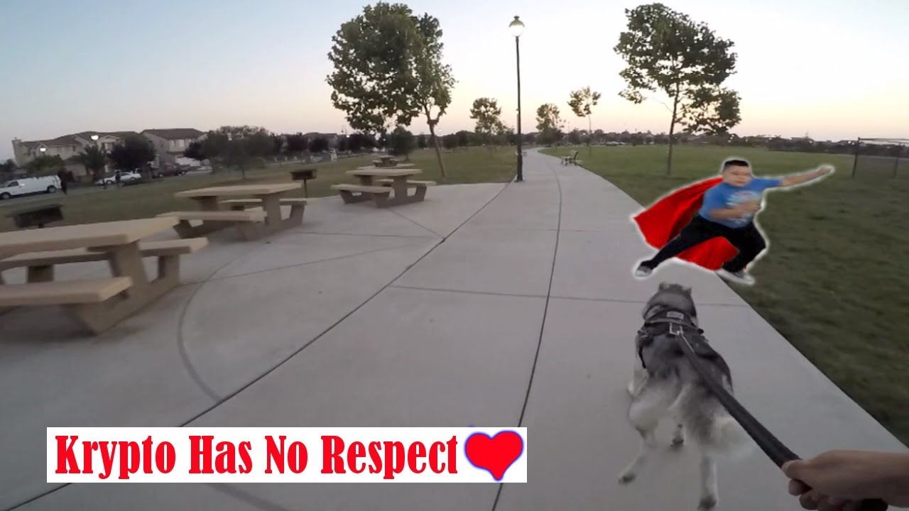 When Does A Youtube Channel BLOW UP, Husky Pulling Longboard, Qna - YouTube