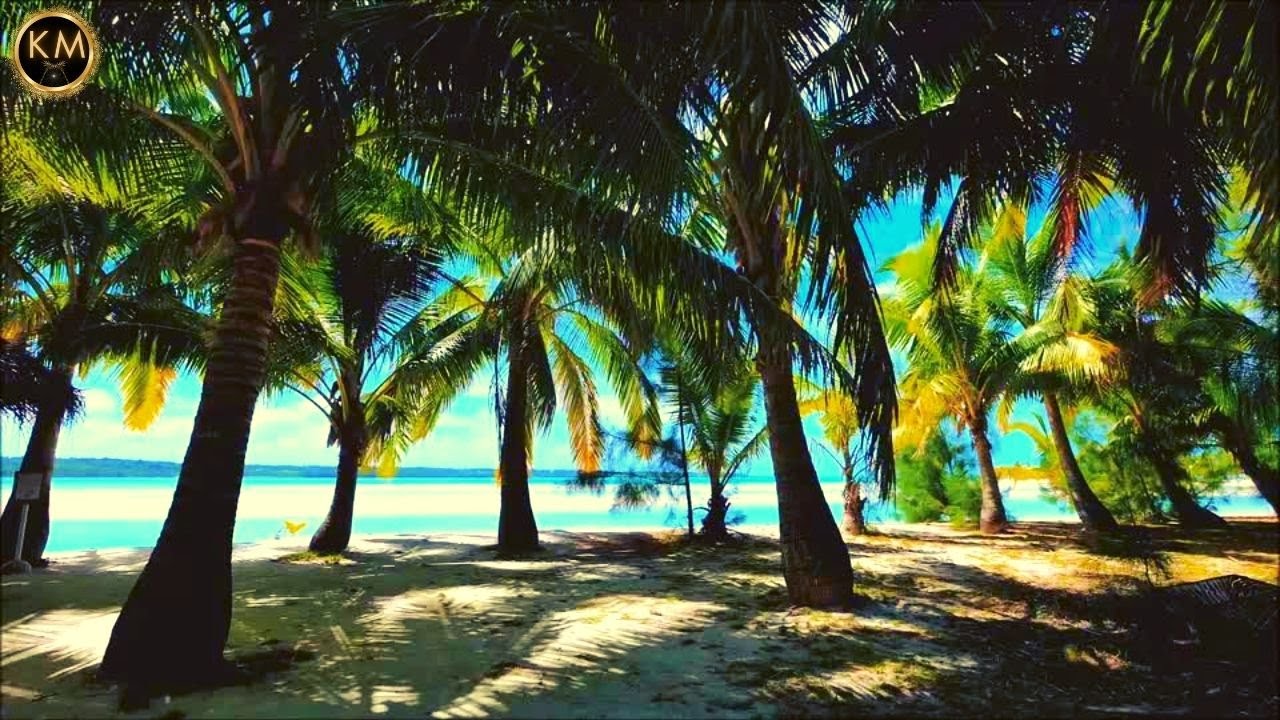 🎶🌴TROPICAL TUESDAY! Tropi-Chill MUSIC Relaxation at the Beach - YouTube ...