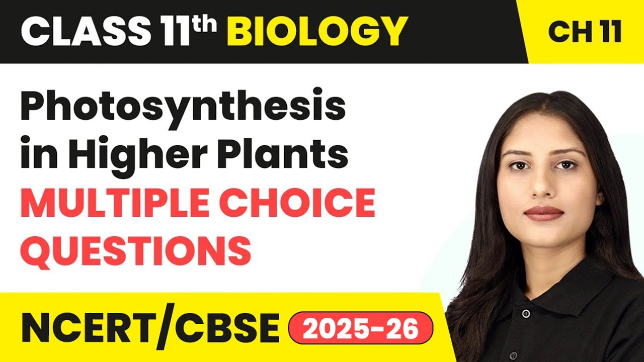 Photosynthesis in Higher Plants - Multiple Choice Questions | Class 11 ...