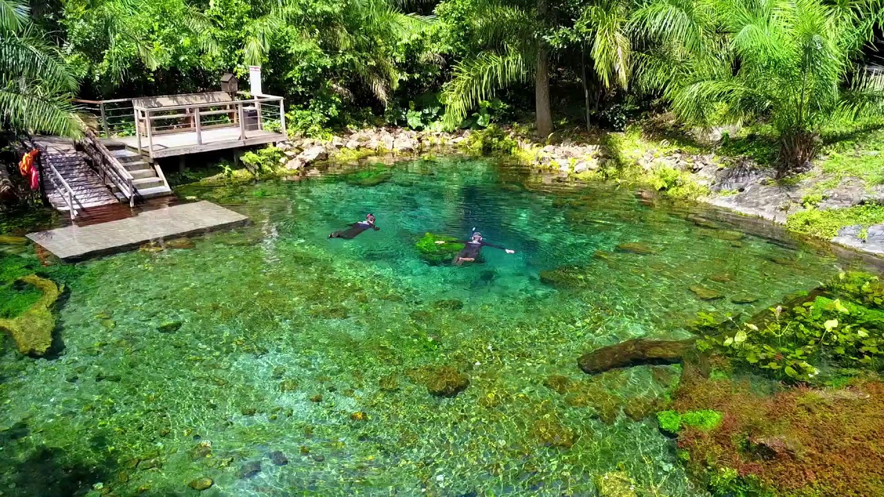 Nascente Azul - Flutuação - Bonito/MS - Acqua Viagens - YouTube