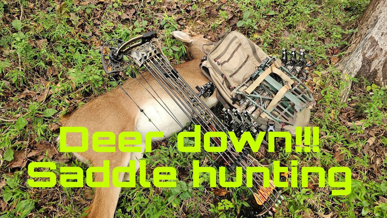 Tethrd ultra lock saddle - Bow hunt - Mathews lift - deer down - YouTube
