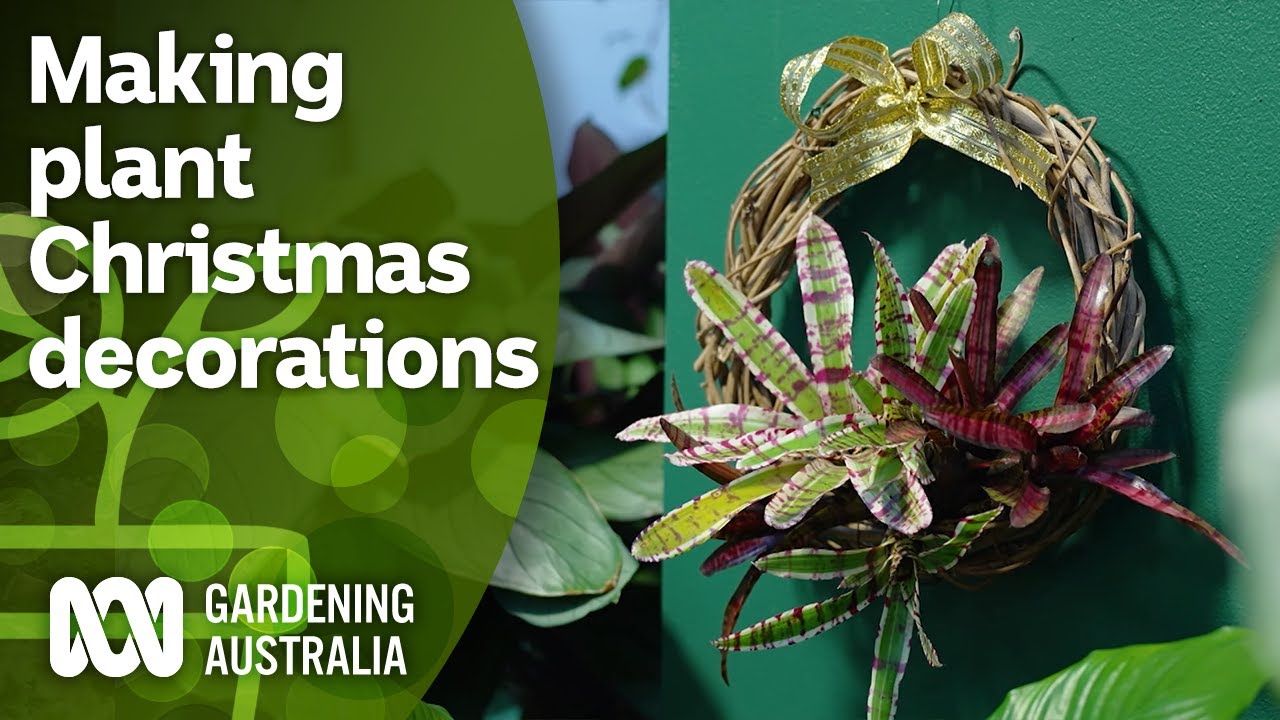 How to make Christmas decorations using plants | DIY Garden Projects ...