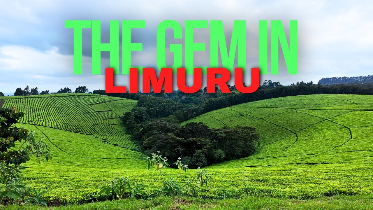 NAIROBI TO LIMURU - LUSH GREEN TEA PLANTATION IN LIMURU - YouTube