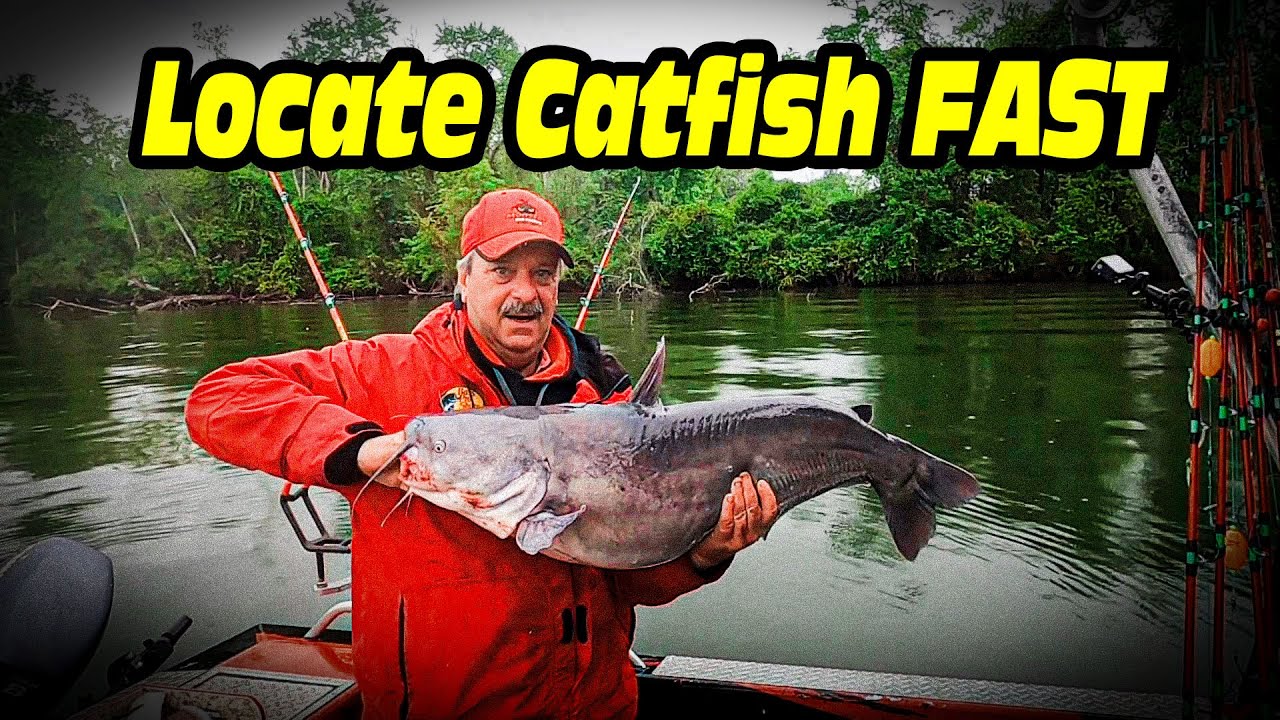Want to Catch More Catfish? Watch This Now! - YouTube
