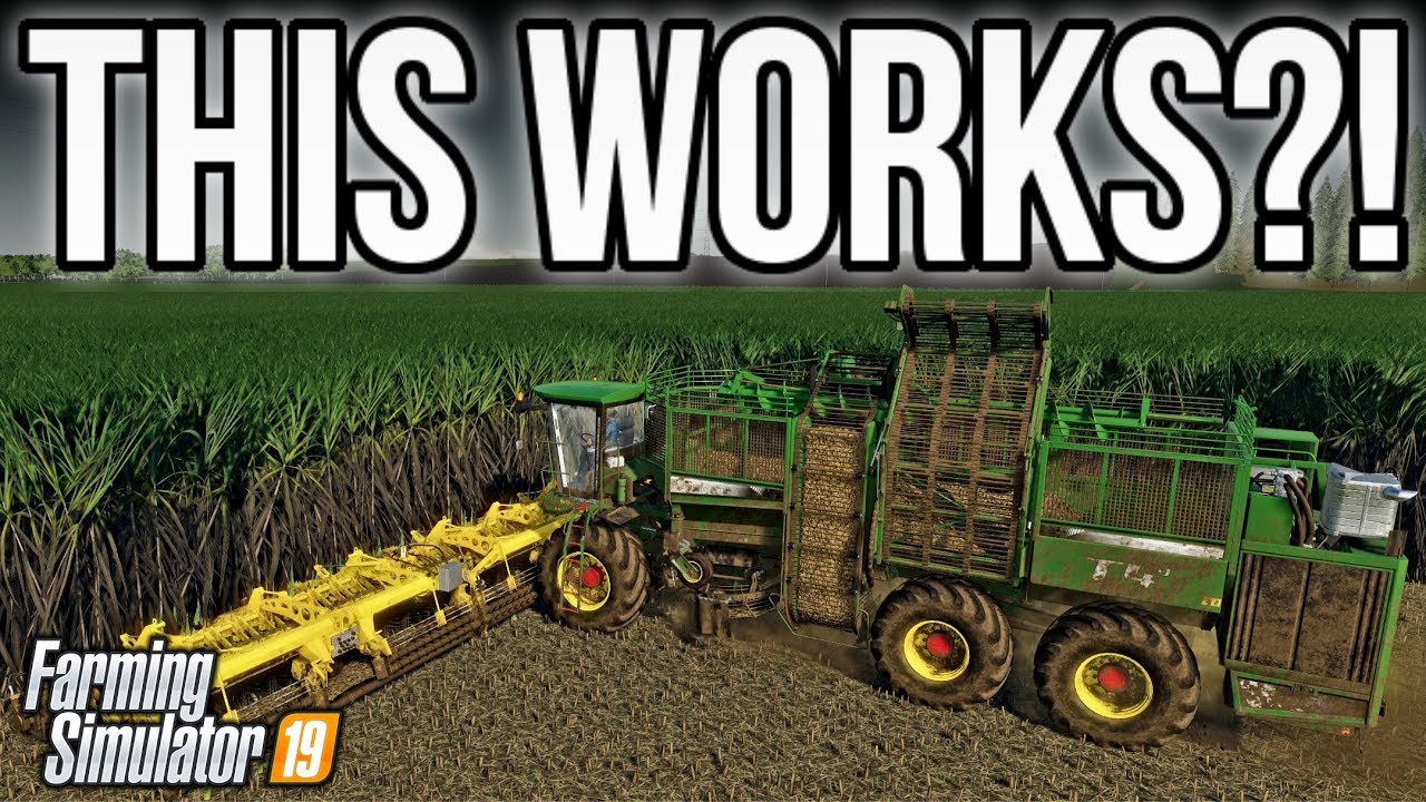 DAHL RANCH FS19! ODDLY SATISFYING SUGARCANE HARVEST! - YouTube