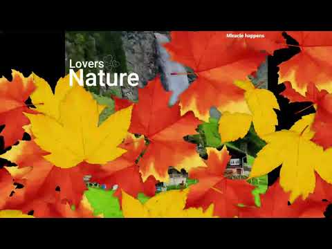 Nature beauty🦋🌻🍀💕|nature🌱whatsapp status🌼| Miracle happens🌸