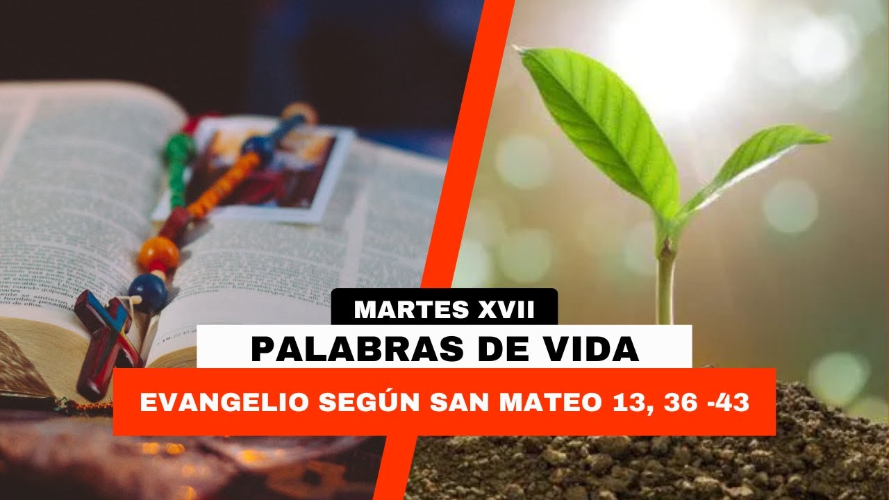 30-07-24PDV - Evangelio según San Mateo 13, 36 -43. Martes XVII del ...