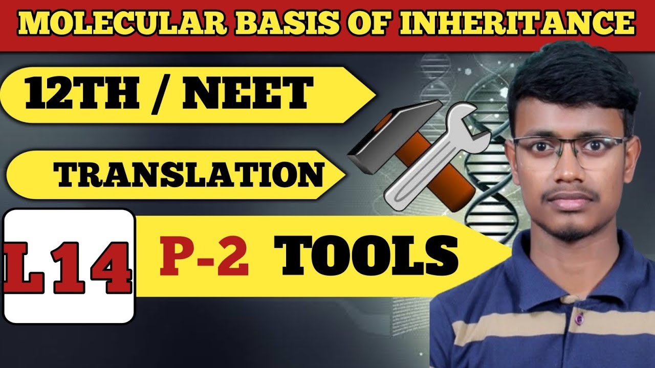 12th|CBSE|NEET|MOLECULAR BASIS OF INHERITANCE|LEC.NO:14|TRANSLATION ...