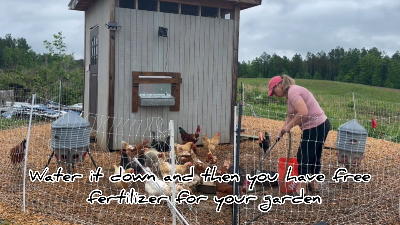 heavy rain aftermath: farm animal update & garden tour - YouTube