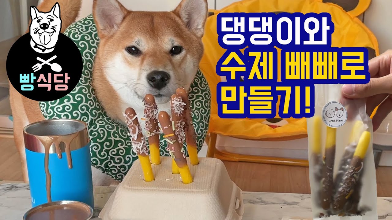 똥손도 만들수 있는 강아지 수제빼빼로 만들기 DIY/개빼로 멍빼로 만들기/강아지 빼빼로 먹방 Dog Pepero/Dog ...