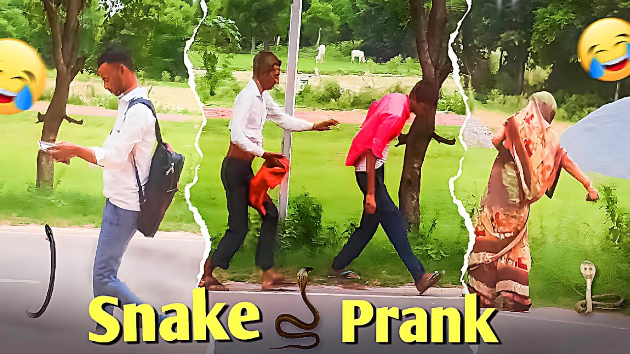 Hilarious Snake Prank Leaves Victims Screaming! - YouTube
