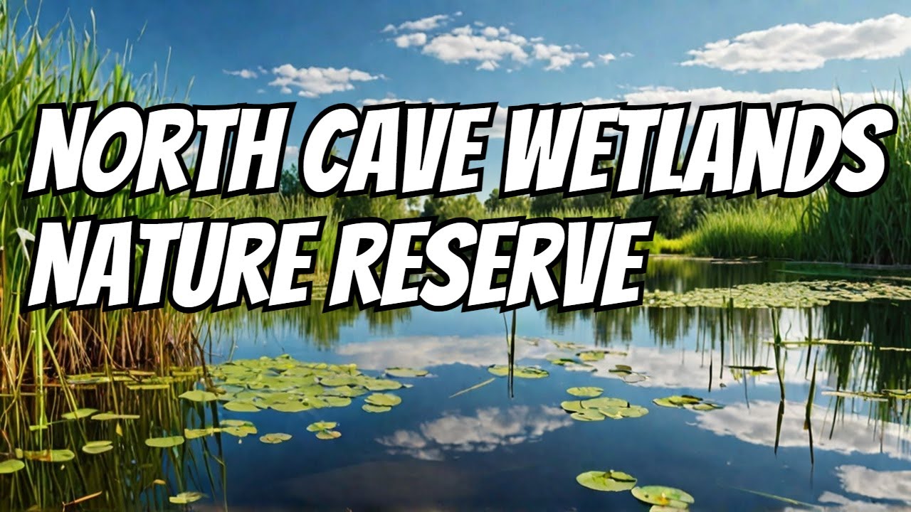 North Cave Wetlands Nature Reserve - YouTube