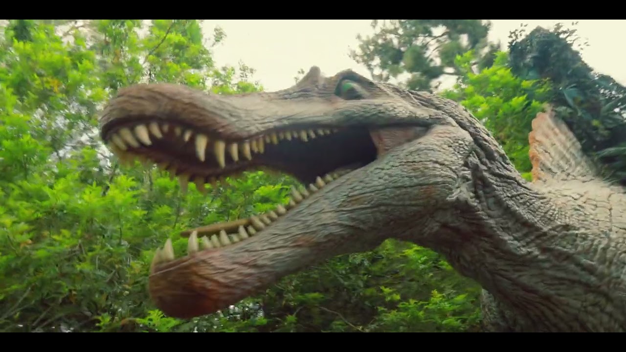 Universal Studios Hollywood Studio Tour Highlights - YouTube