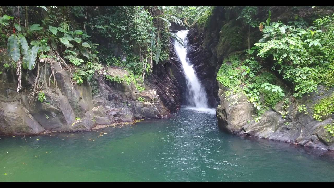 Paria Waterfall, Trinidad - YouTube
