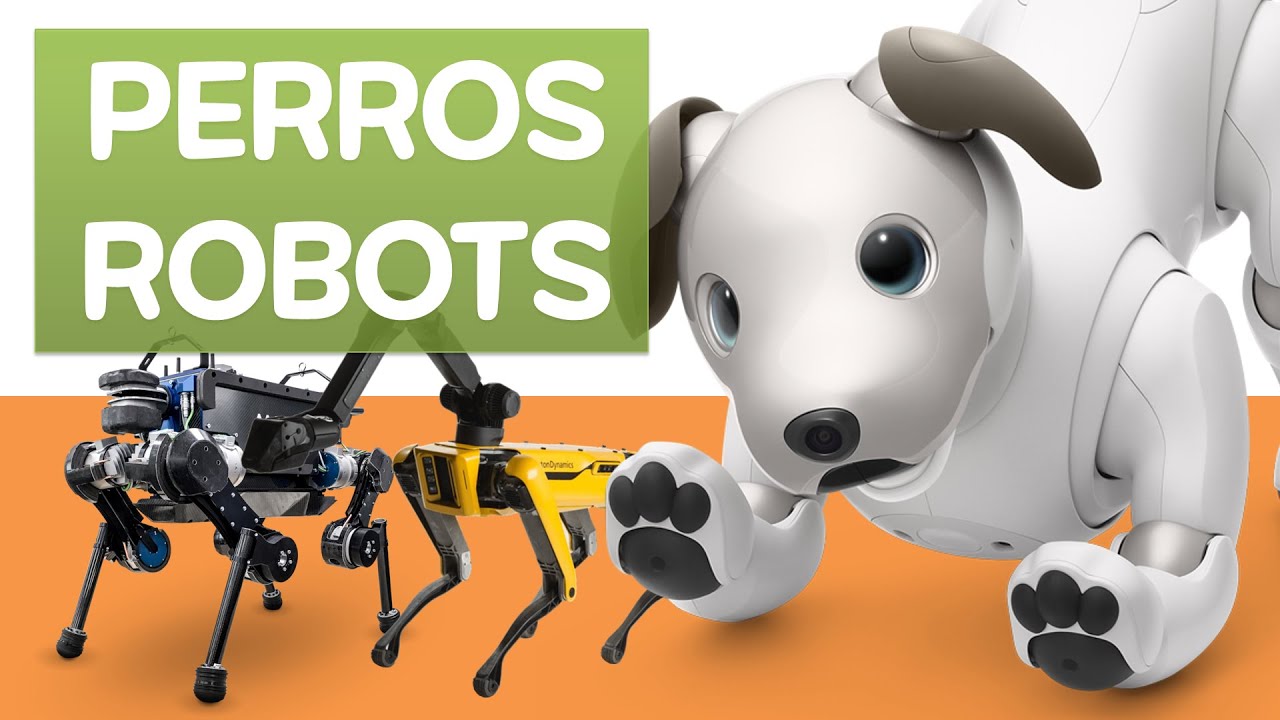 Perros Robots: El futuro del mejor amigo del hombre - YouTube