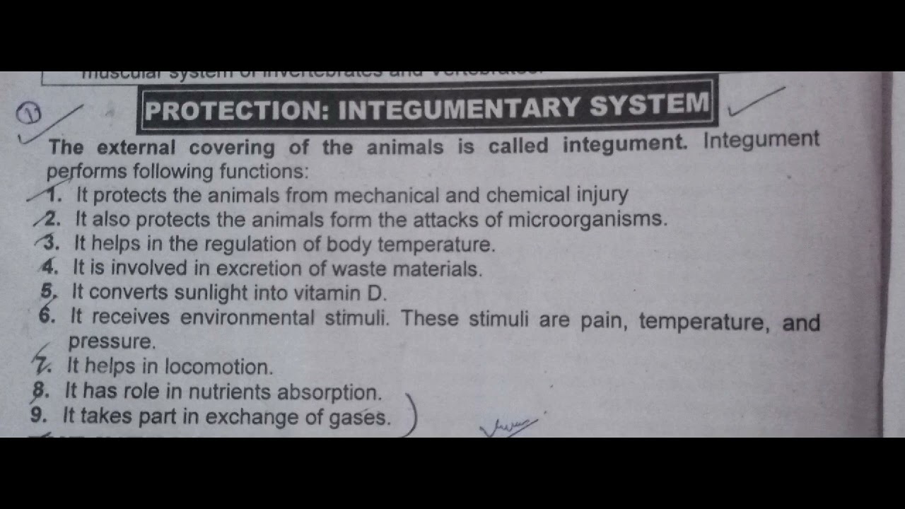 PROTECTION: INTEGUMENTARY SYSTEM @biologicaltutoring - YouTube