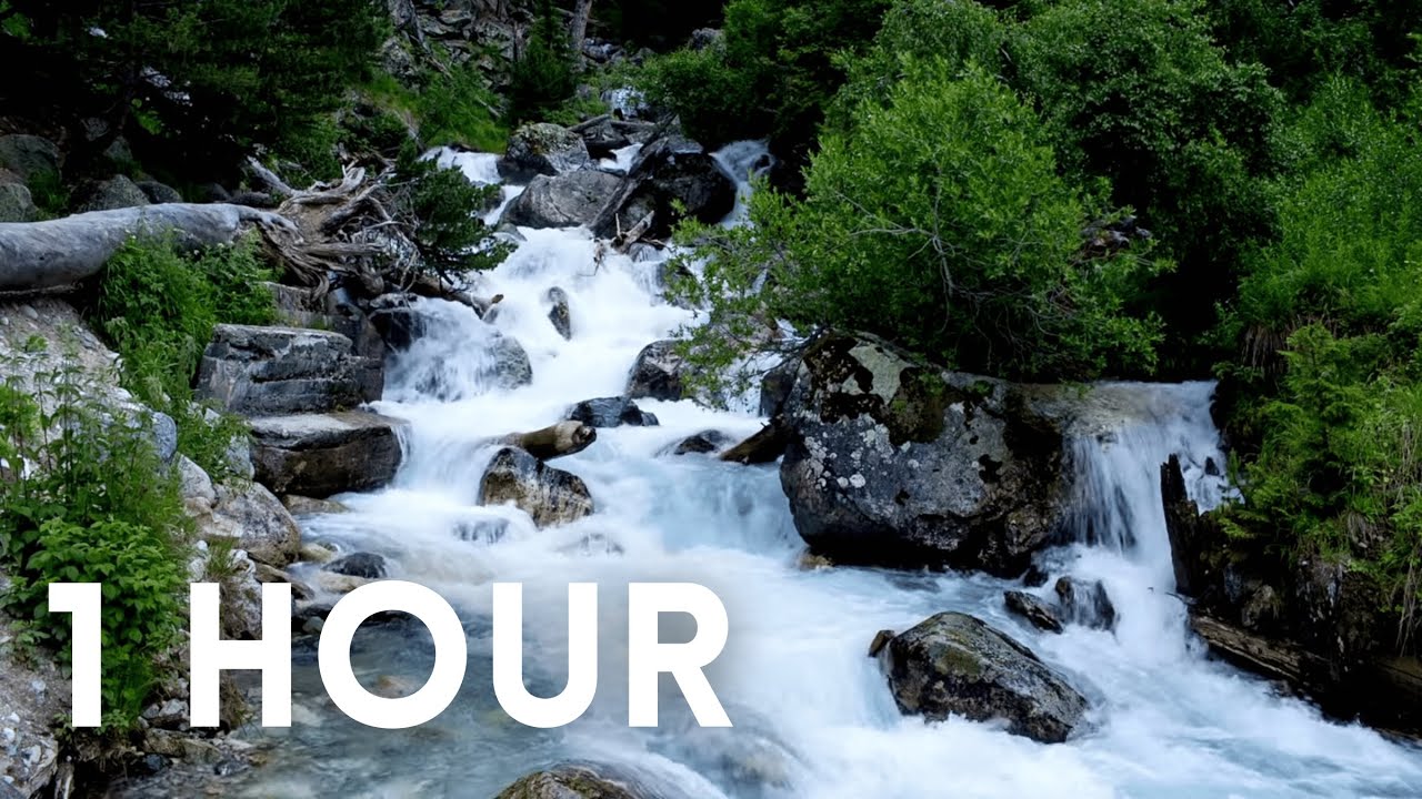 Water Stream Nature Background Sounds For Relaxing Focusing Studying (1 ...