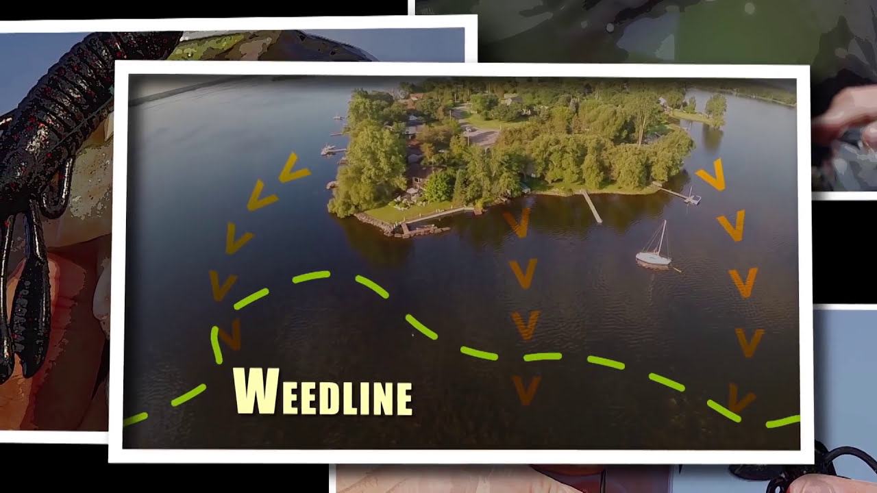 Crushing Cover Craw Largemouth Bass - Dave Mercer's Facts of Fishing ...