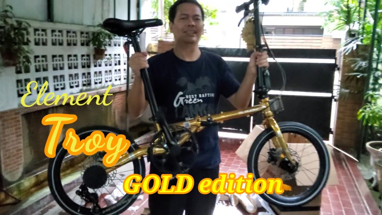 Element Troy Gold Edition 2021 10 Speed - YouTube