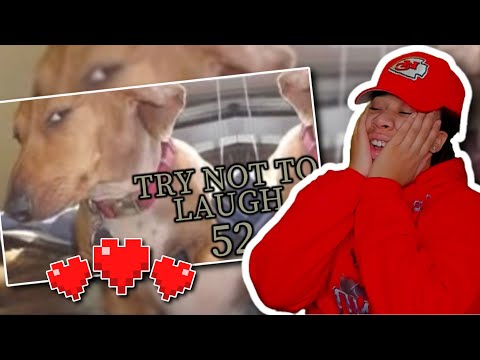 AdikTheOne Memes (Try not to laugh CHALLENGE) #52.. Why He Grippin The Drink Like That??