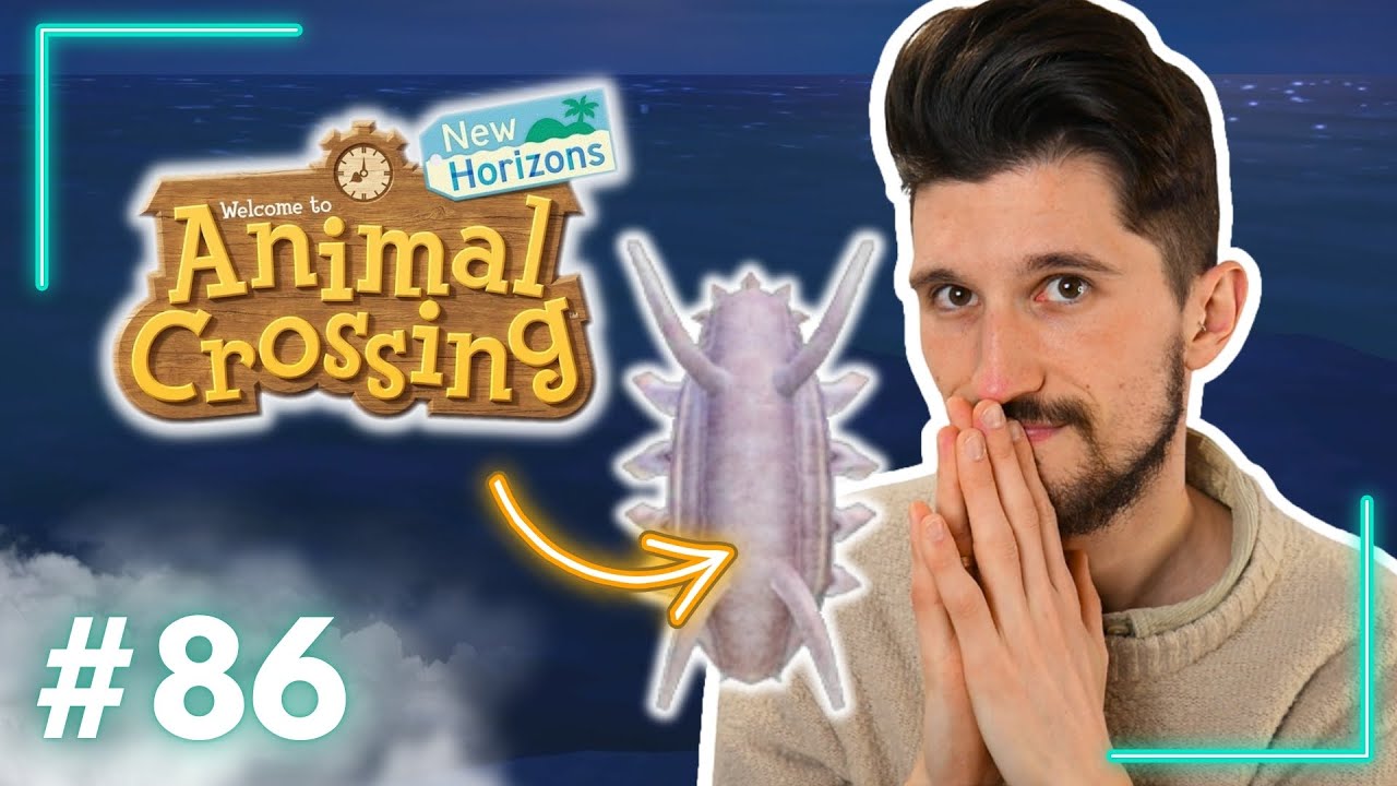 TROUVER le COCHON de MER - ANIMAL CROSSING NEW HORIZONS #86 - Flavien ...