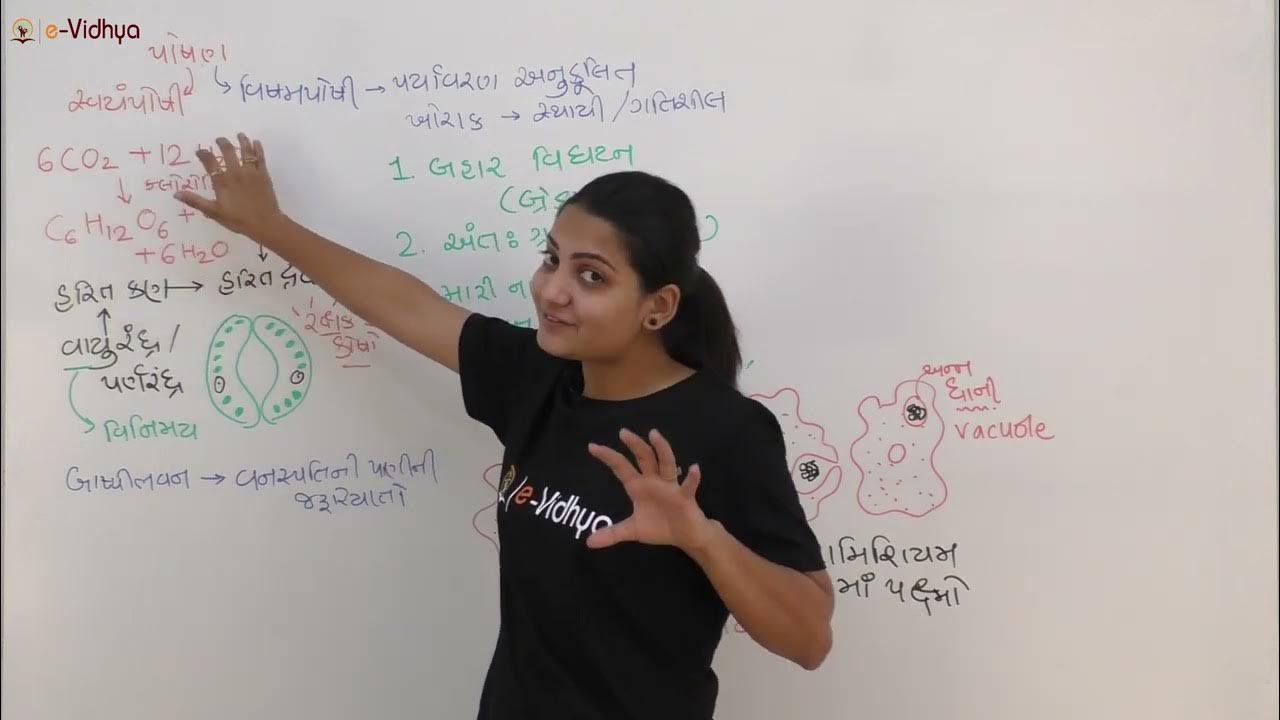 10 Science Ch6 L3 મનુષ્યમાં પોષણ Youtube