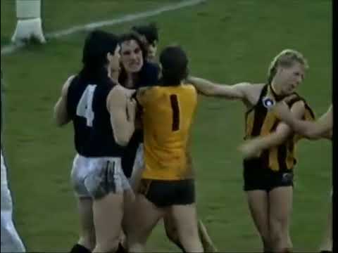 AFL Fight/Melee SOS/Stephen Silvagni VS Ray Jencke Football Fight (PART ...