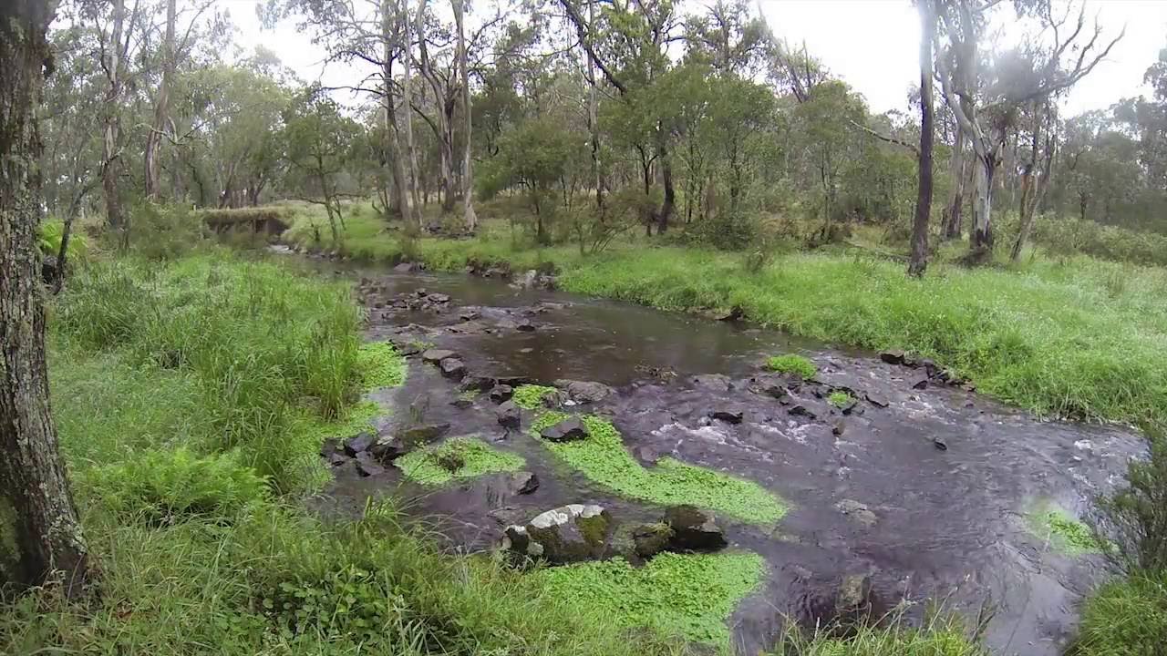 Styx River Rest Area, New England National Park, Ebor, NSW - YouTube