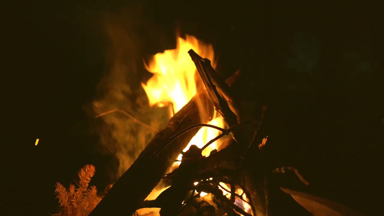 Reverend Baron + Andrew Gabbard + Mae Powell - It Is So Nice To Get ...