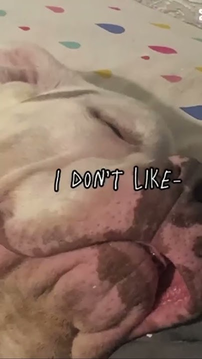 I hate tomatoes 🍅 - YouTube