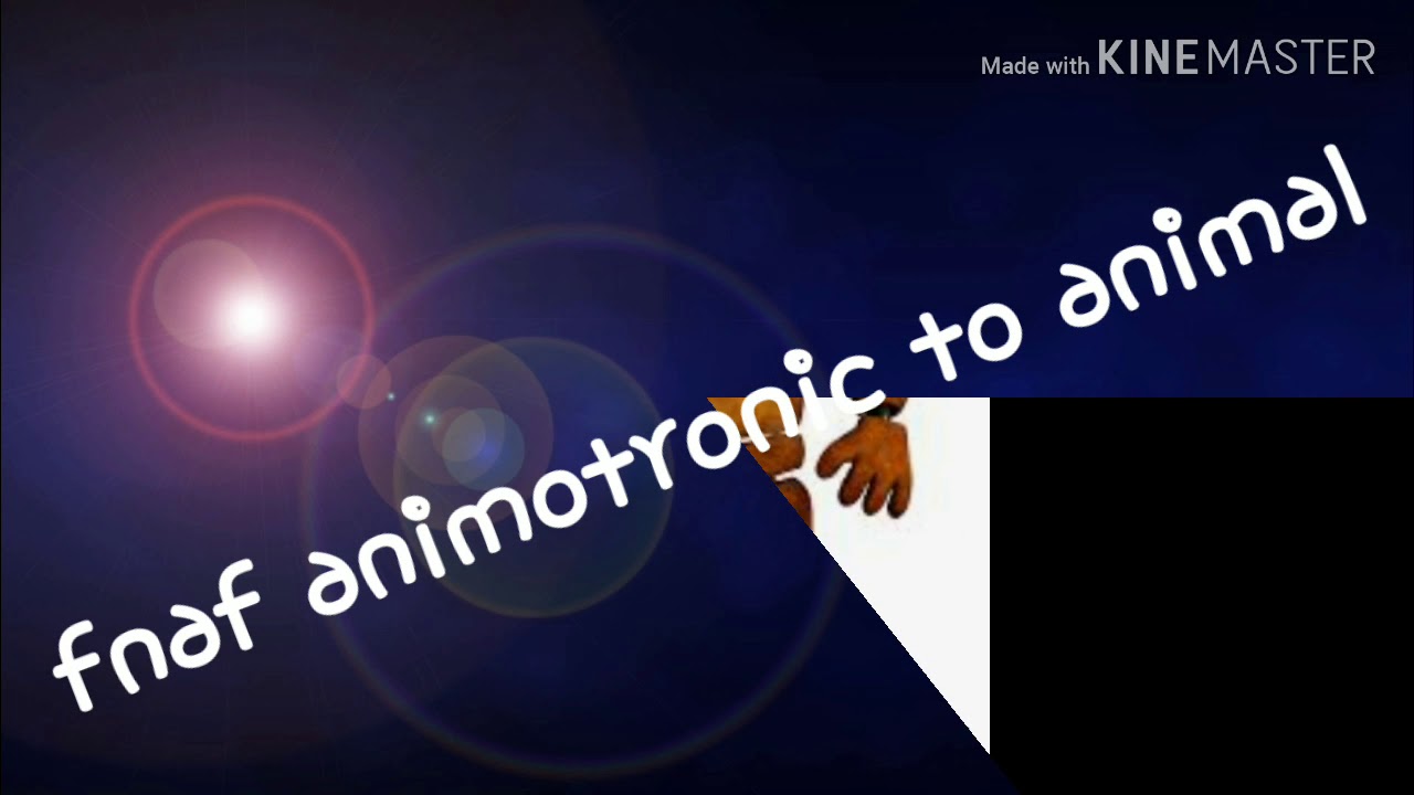 Fnaf animatronics to animals in real life - YouTube