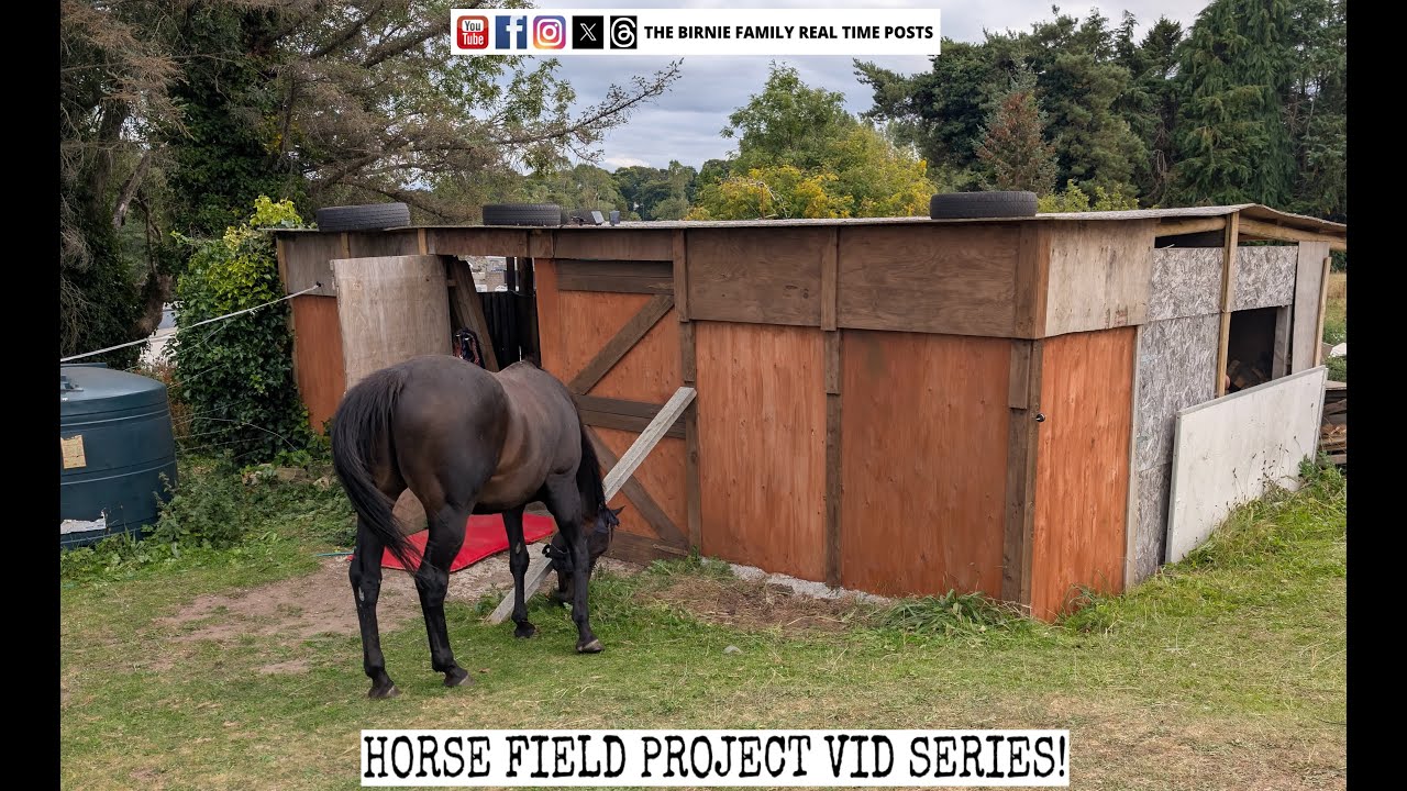 Stable Storm Damage Repair And A Push Toward The Finish | Horse Field ...