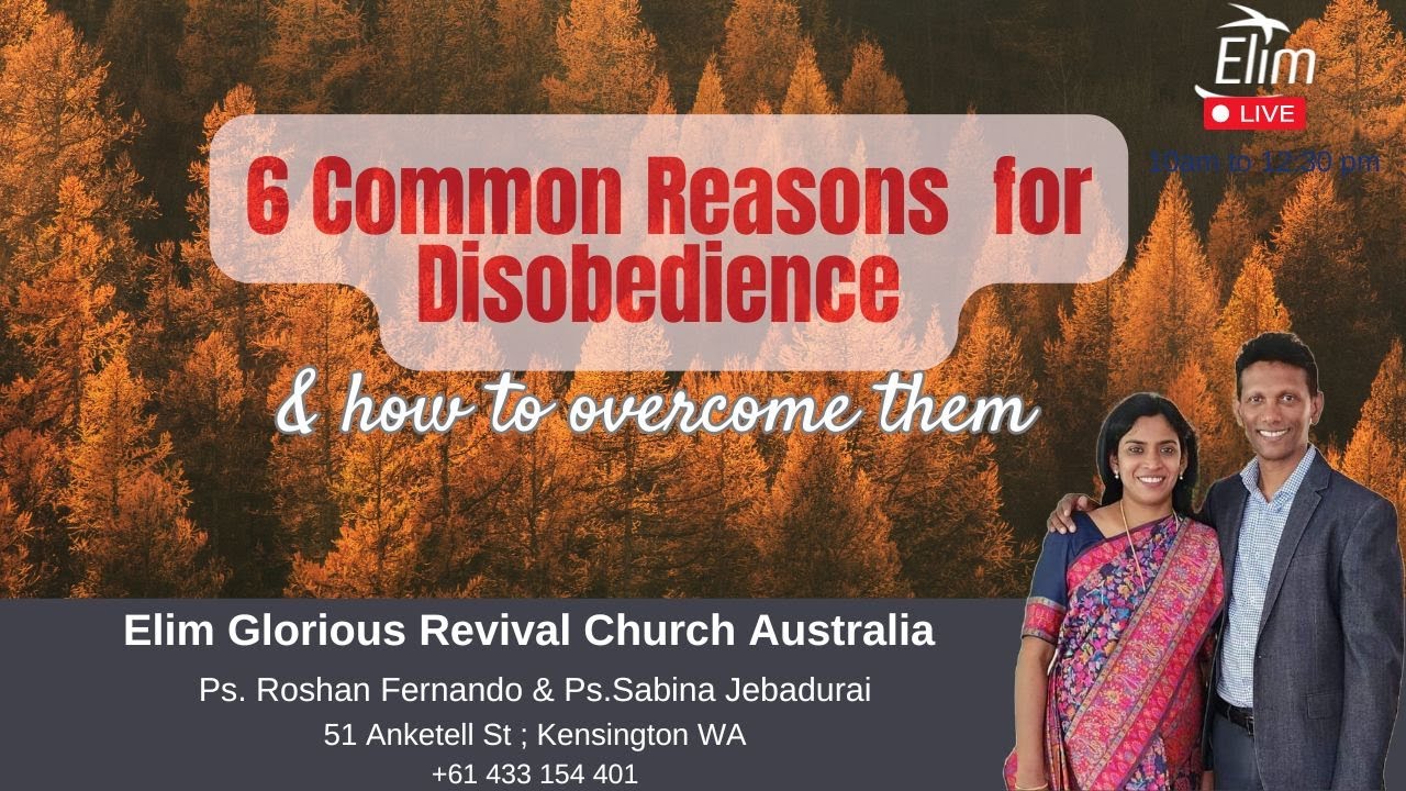 6 Common reasons for disobedience & how to overcome them | Sabina ...