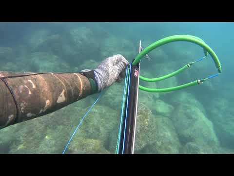 Açık kafa Diverman  zıpkının  suda çift  kalama ve lastik kurulumu (110 cm. 14mm cift primline)