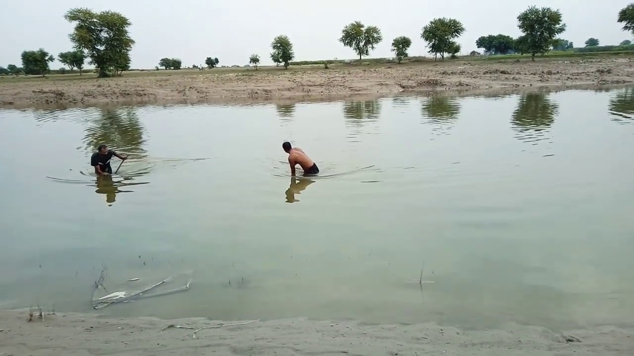 Catching Fish River sutlej Pakistan Funny ViD |Bakra Sale point |بکرا ...