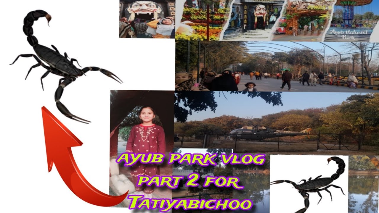 Special Msg For Tatiya Bichoo 😝@Abeehafamily - YouTube