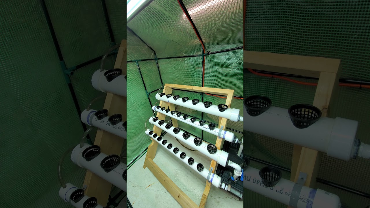 Hydroponic grow tent - YouTube