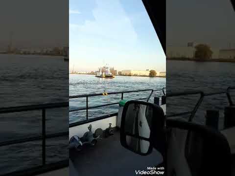 Mero ep kafa leyla